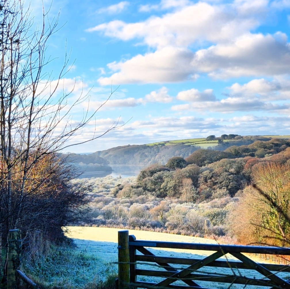 Getting Outside for Mental Health in January (Even When You Don’t Feel ...